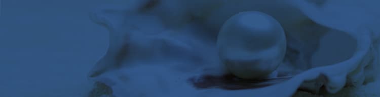 Home - Optimum Life Reinsurance (United States)